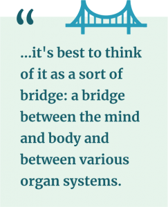 Endocannabinoid System Explained - CBD’s Role & How it Helps - CBD Central®