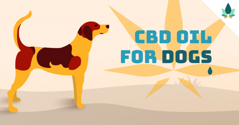 History of CBD - A Timeline of CBD from First Recorded Case to Now ...